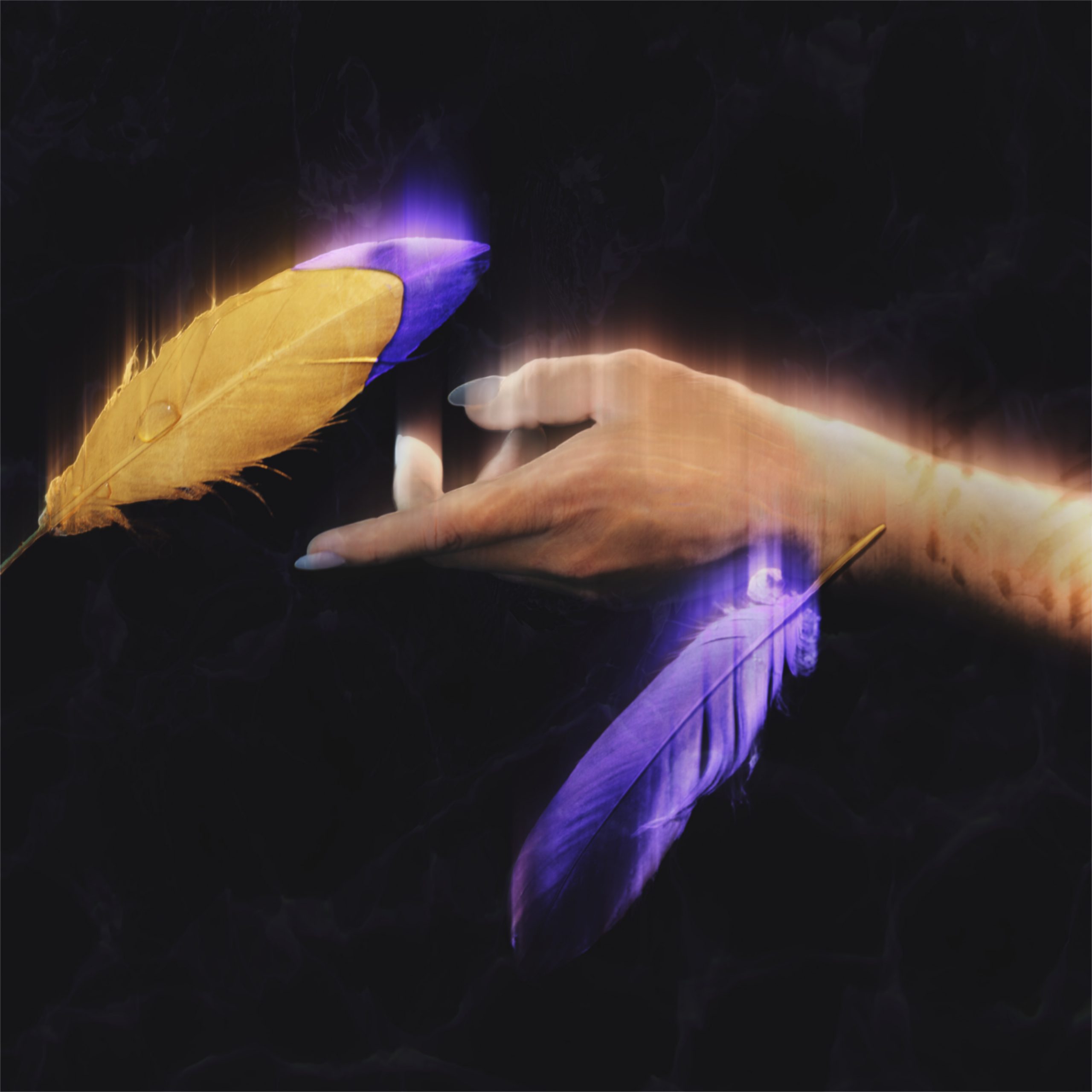 Win and Woo Ft. Blair Lee - Knots - By The Wavs